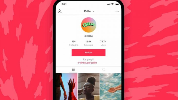 Luncurkan Profile Kit, Kini Semua Orang Bisa Lihat Enam Video TikTok dari Linktree | RIAU24.COM